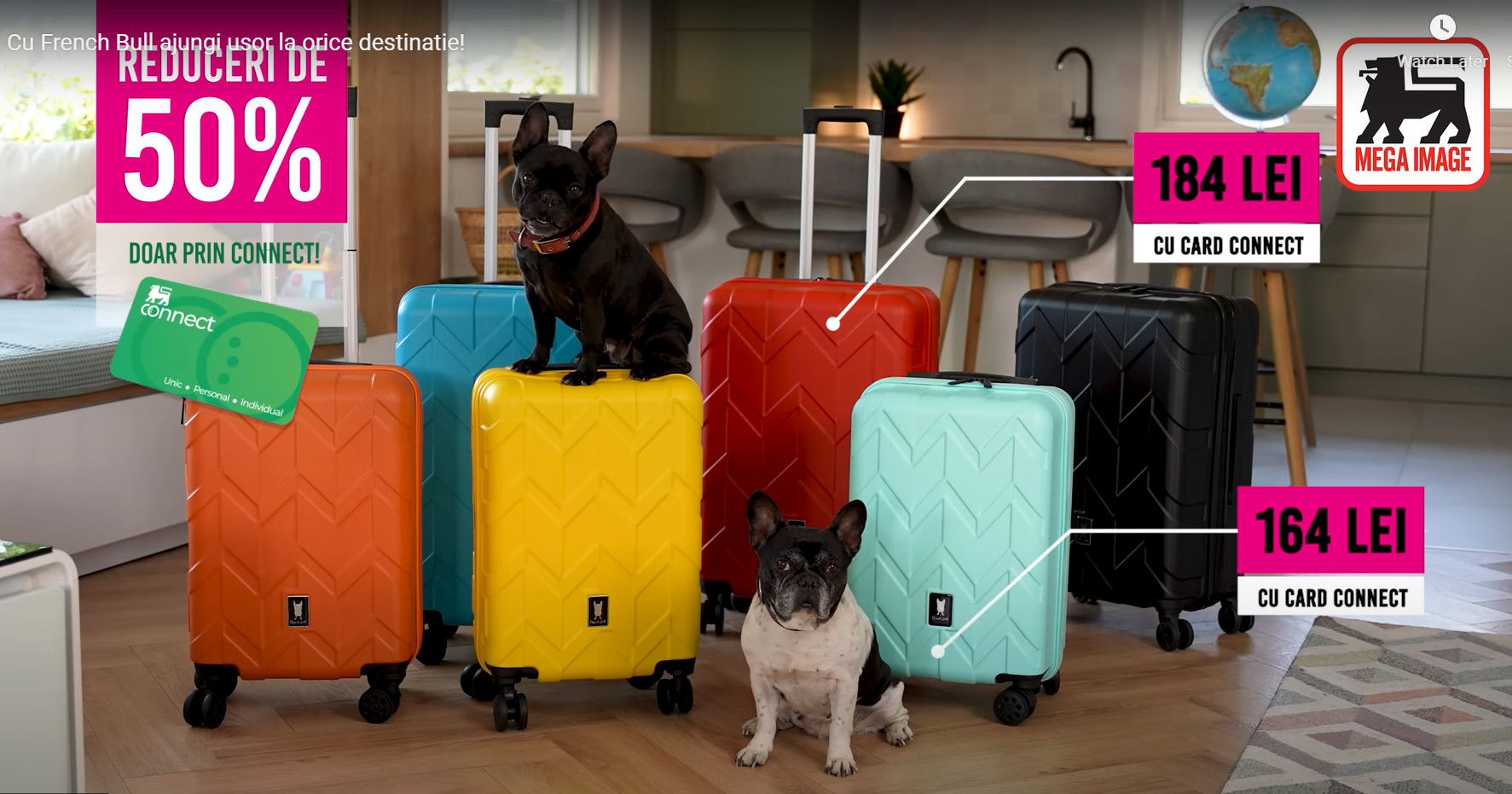 Colecția de 6 genți de voiaj French Bull, Vara 2022